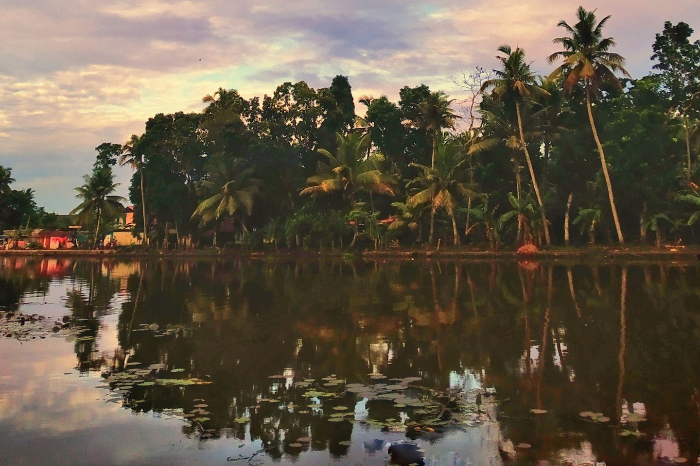 One Day Kottayam Sightseeing Trip by Cab [Price & Itinerary]