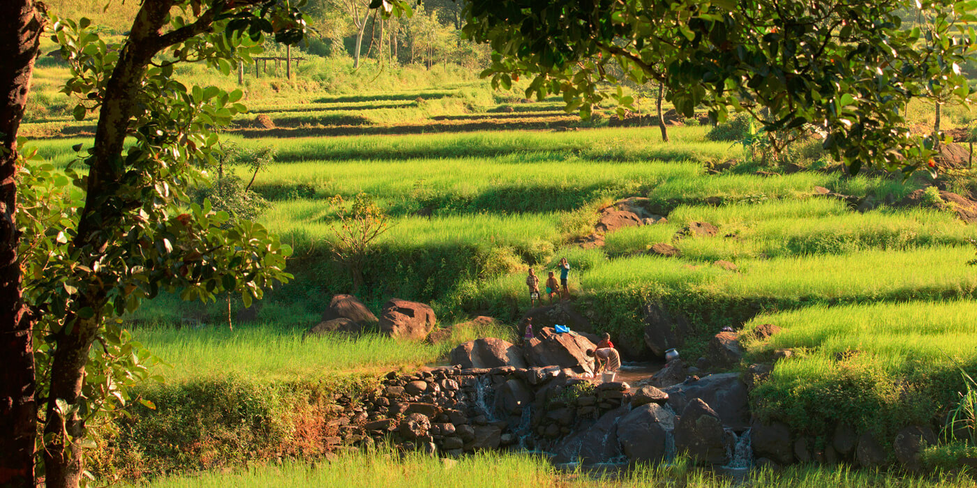 One Day Vizag to Araku Valley Trip by Cab [Price & Itinerary]